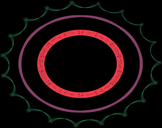 Spirographs | Isabel Beach